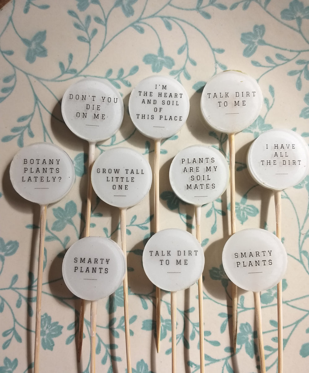 Plant pop – Leaf Boutique